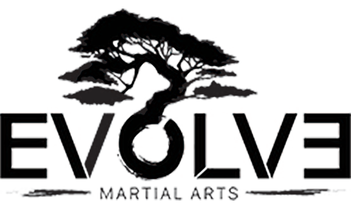 Home - Evolve Martial Arts | Martial Arts in Sugar Land, TX